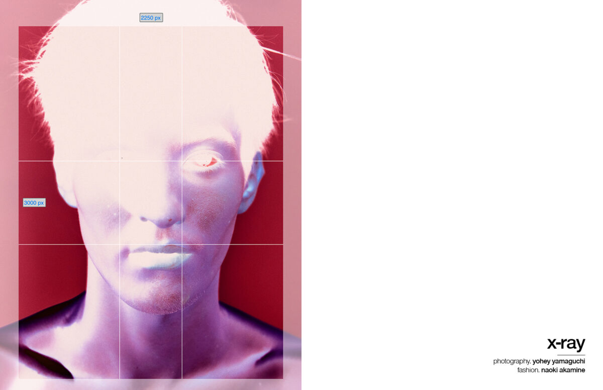 x-ray | Schön! Magazine