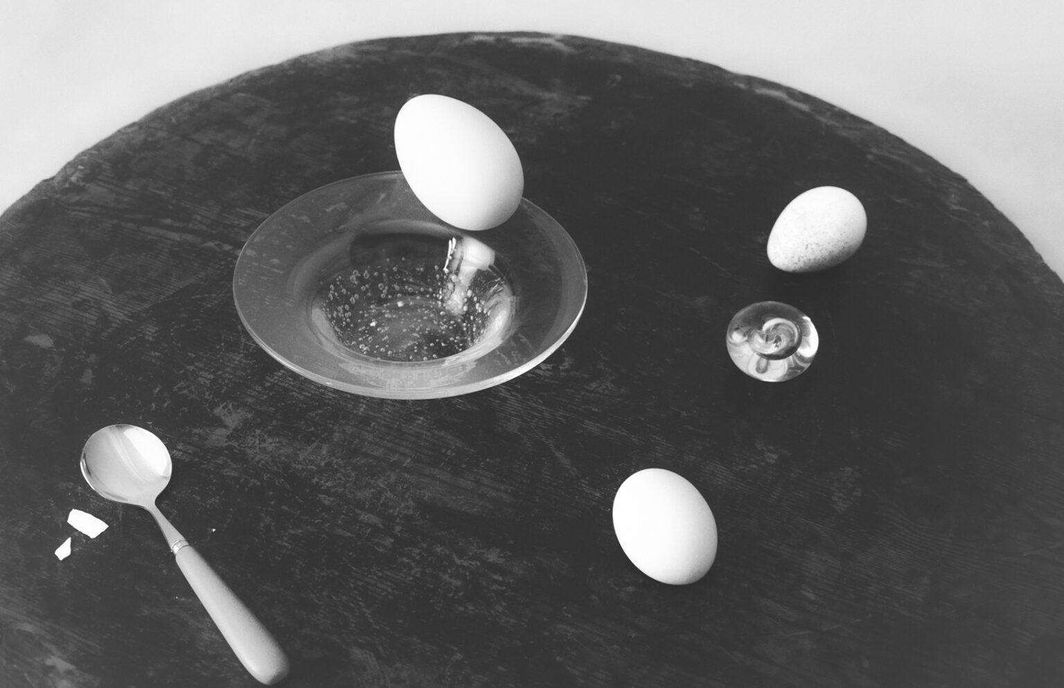 an egg study | Schön! Magazine